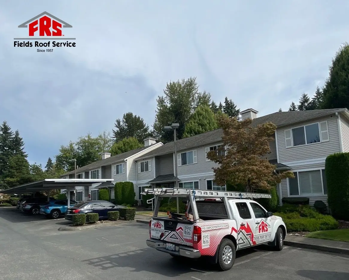 Roof Care Tips for Western Washington Homes